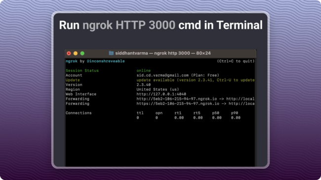 What is Ngrok and how does it work?