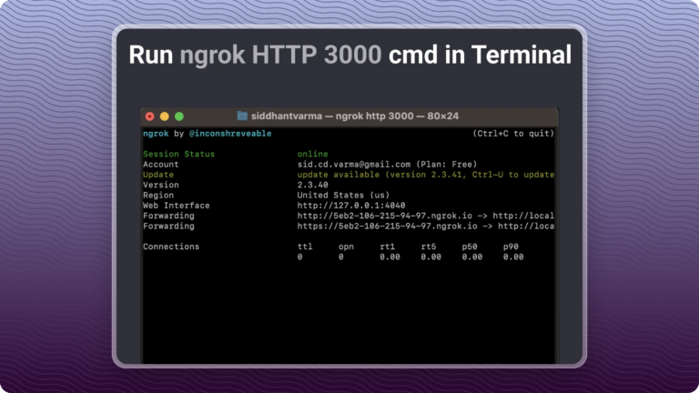 What is Ngrok and how does it work?
