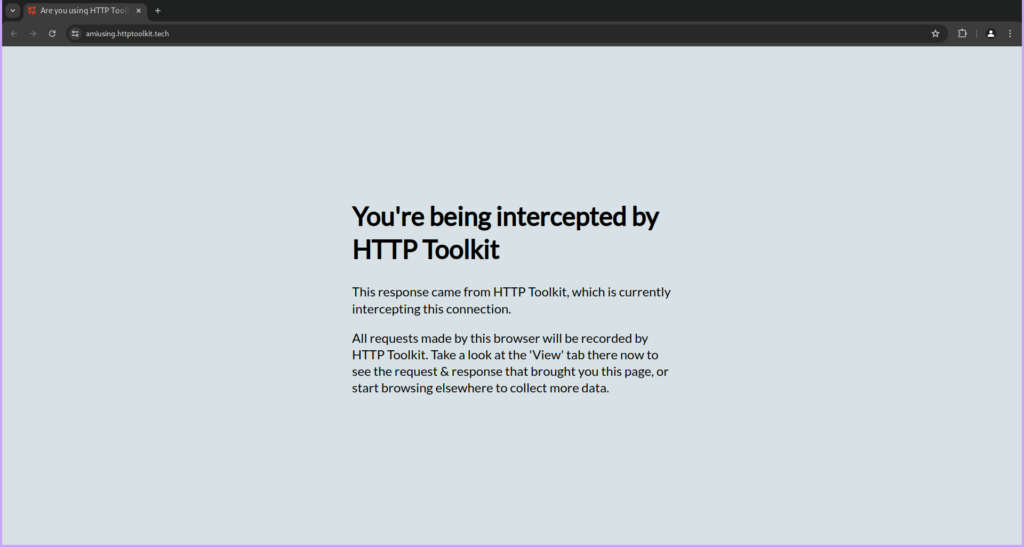 What is HTTP Interceptor & Why Should You Use One?