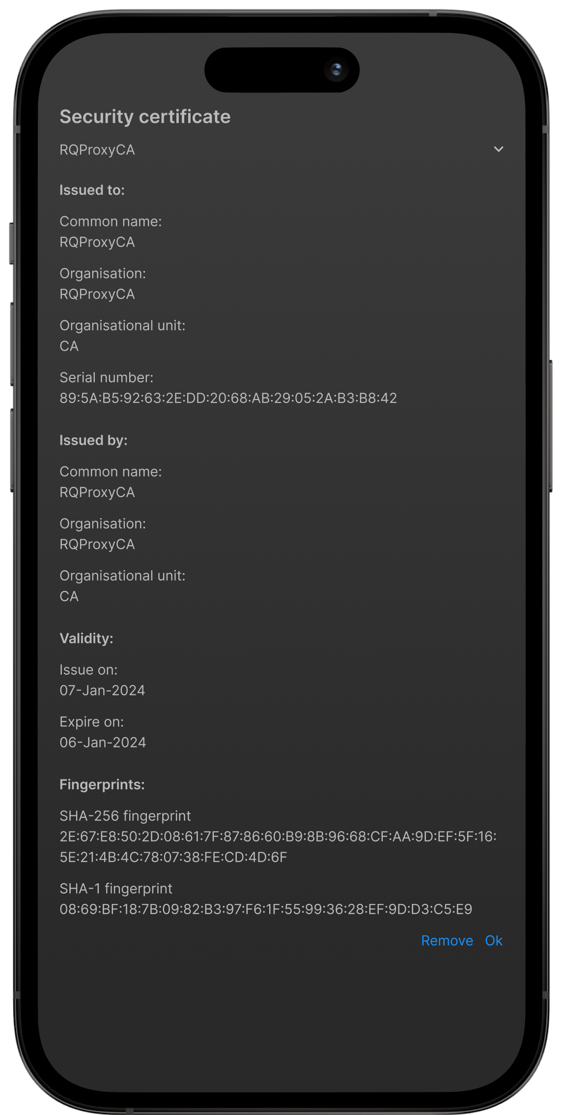Simplify your Android Development - Requestly API Client